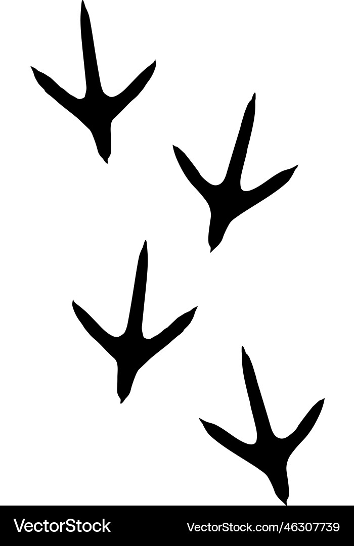 Chicken paw icon image Royalty Free Vector Image