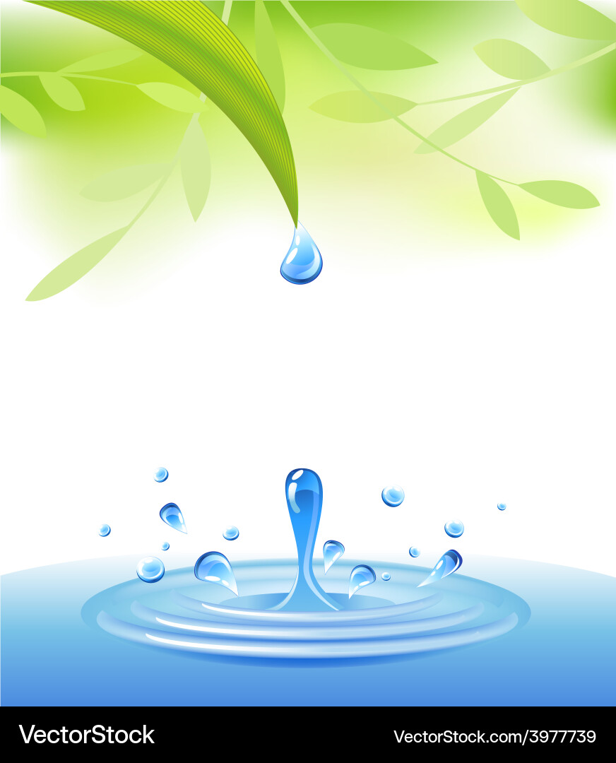 Clear water Royalty Free Vector Image - VectorStock