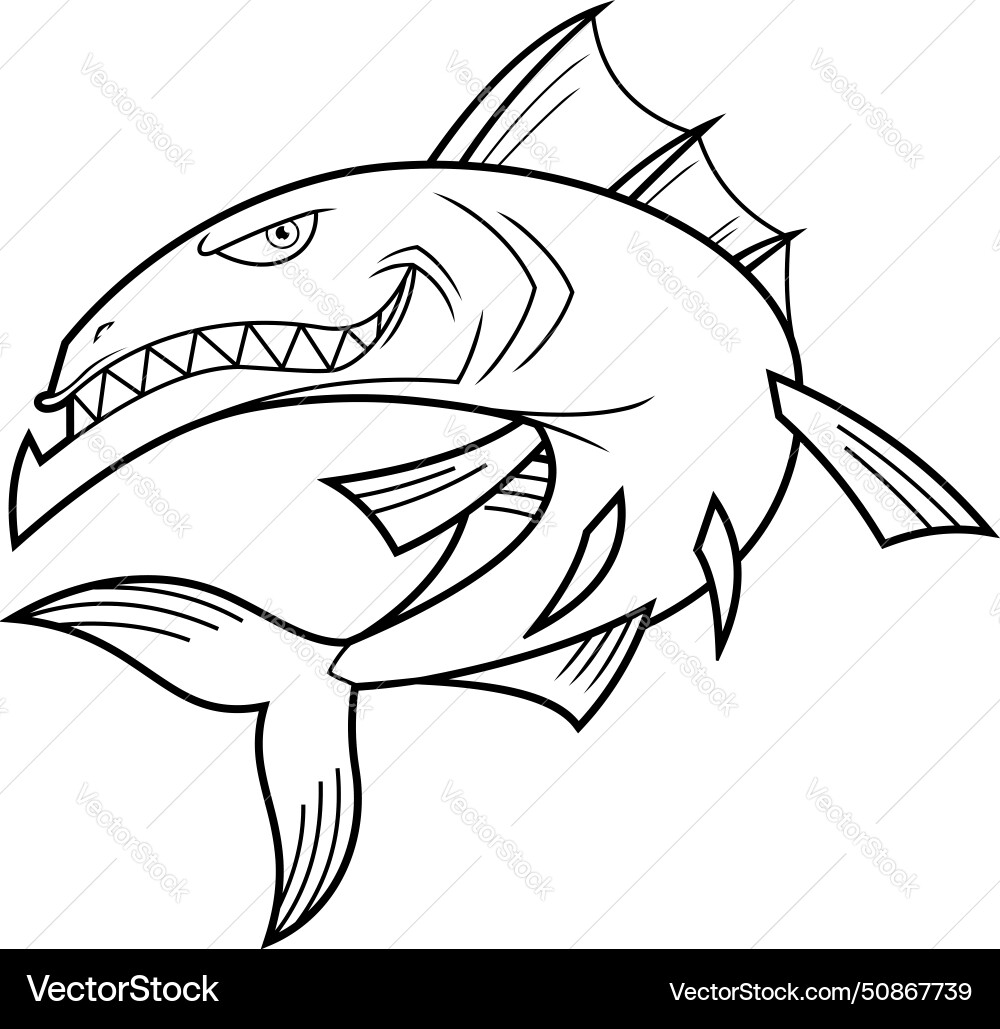 Barracuda Outline