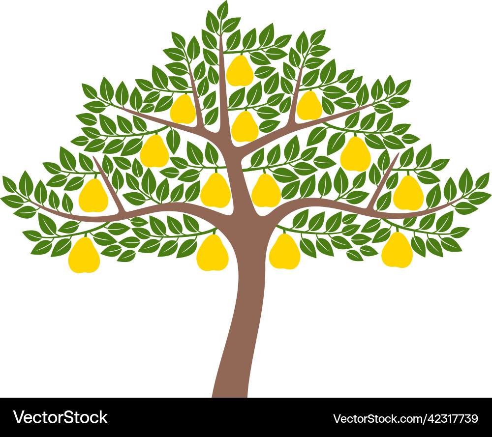 Pear Royalty Free Vector Image - VectorStock