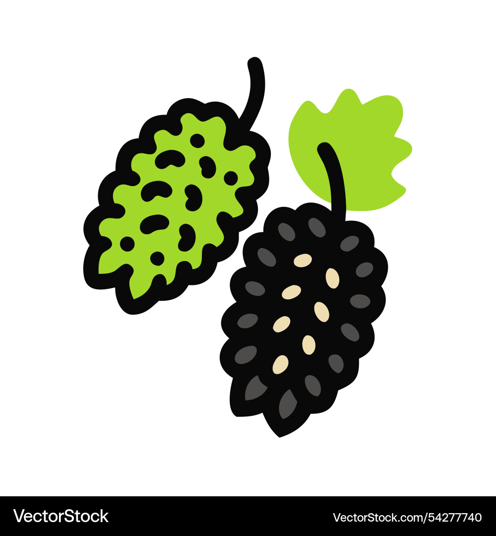 Mulberry icon fruits Royalty Free Vector Image