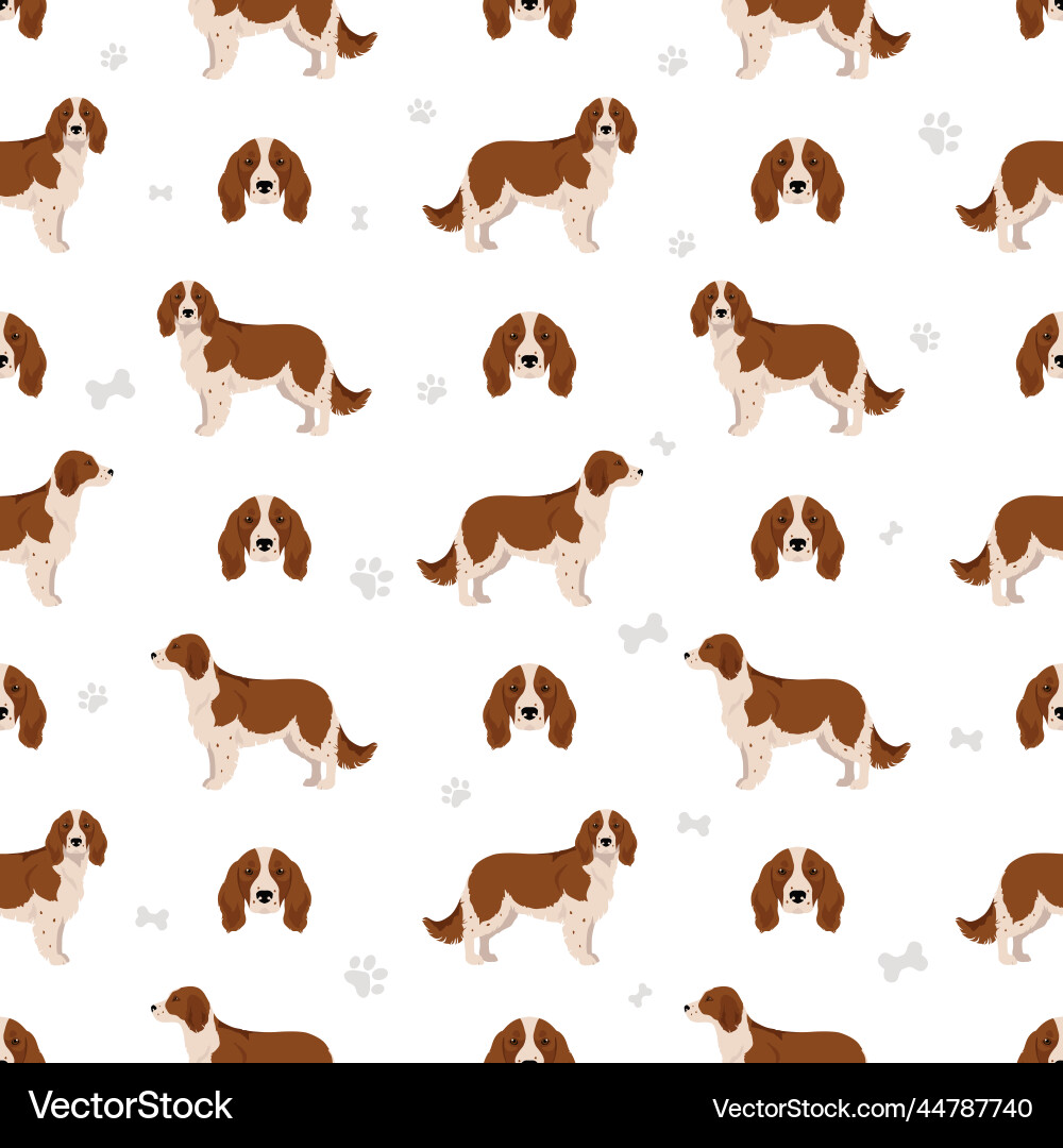 Welsh springer spaniel seamless pattern different Vector Image