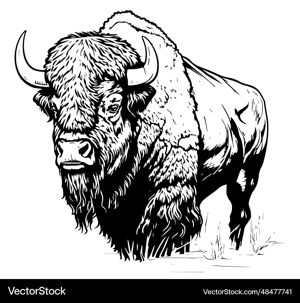 Buffalo Tattoo Vector Images (over 6,500)