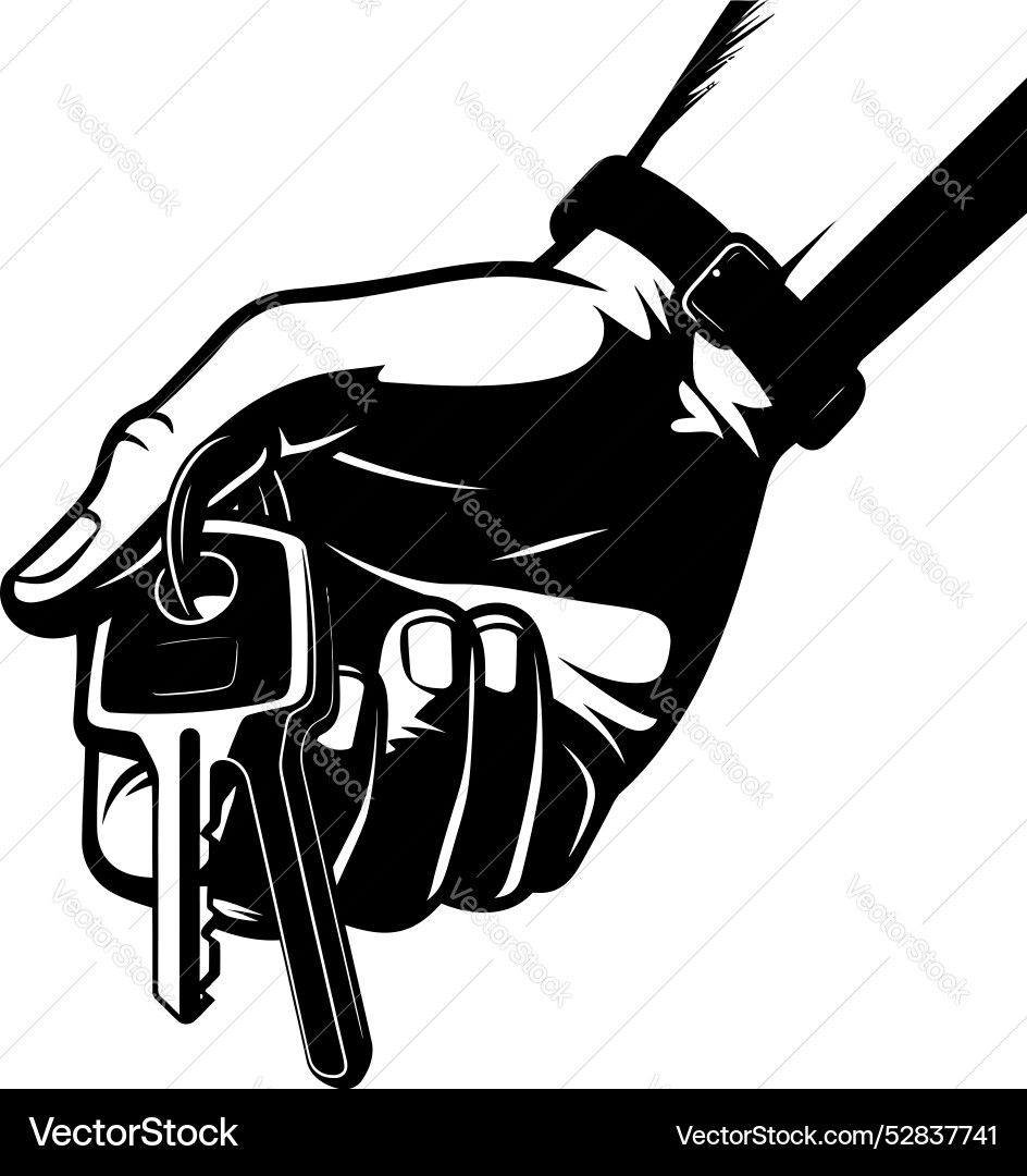 Key reach hand holding icon access assurance Vector Image