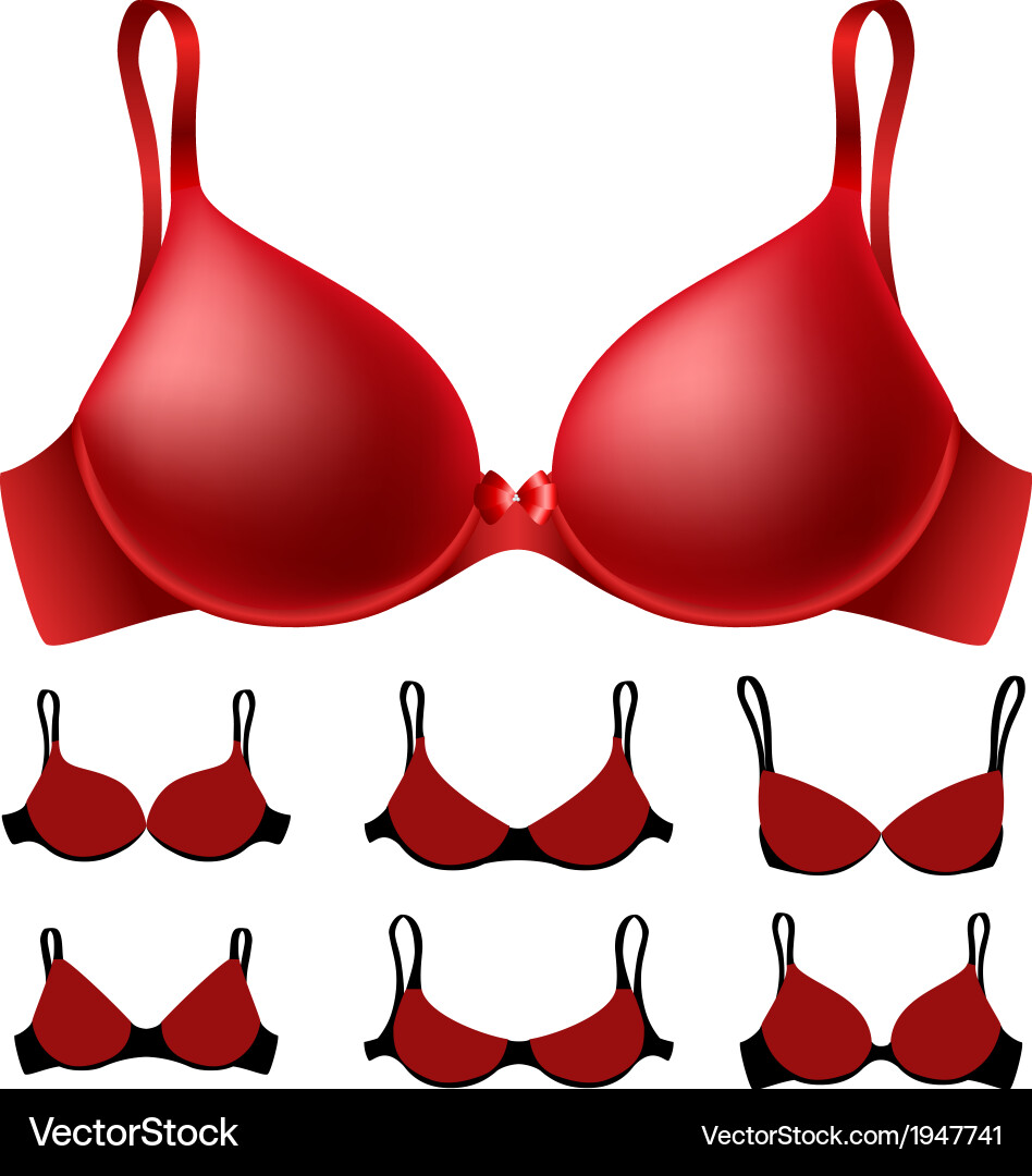 Red bra set Royalty Free Vector Image - VectorStock