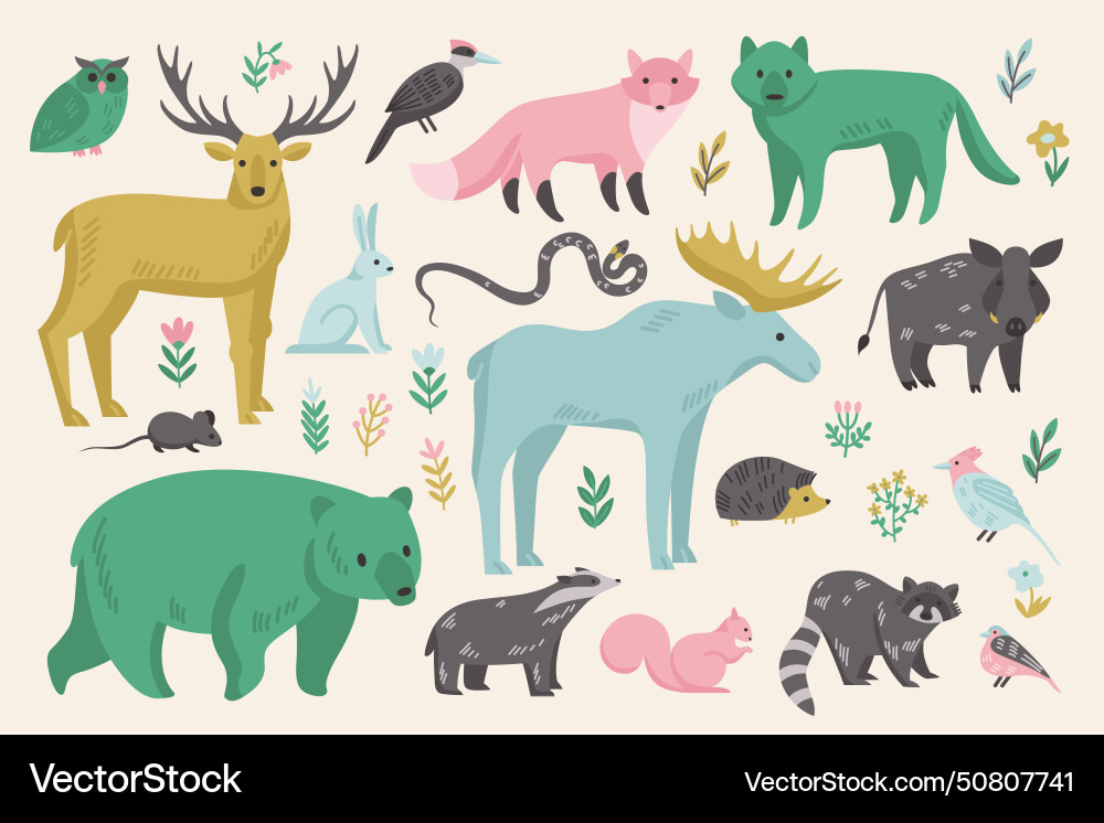 Wild forest animals set Royalty Free Vector Image