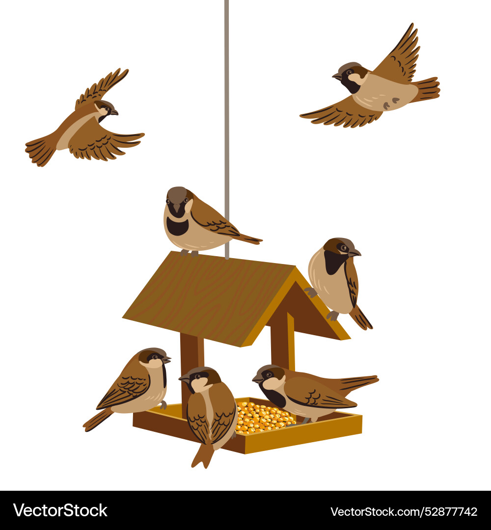 Drawing bird feeder and sparrows Royalty Free Vector Image