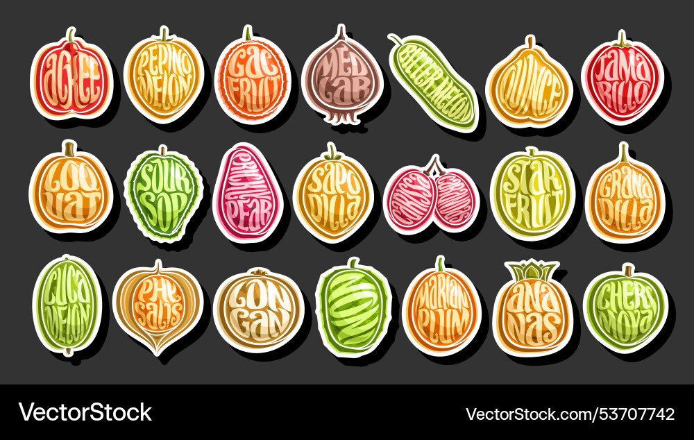 Exotic fruit set Royalty Free Vector Image - VectorStock