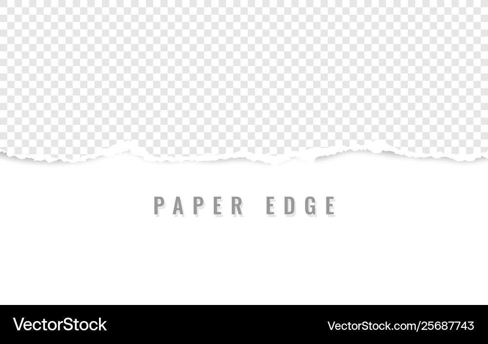 Horizontal torn paper edge ripped squared Vector Image