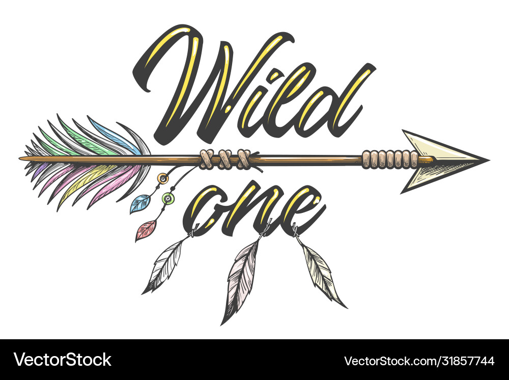 Native american indian arrow with wording wild Vector Image