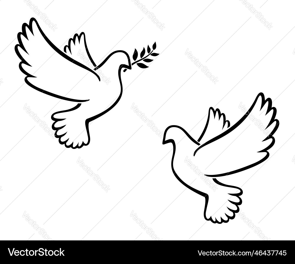 Beautiful white peace dove outline Royalty Free Vector Image