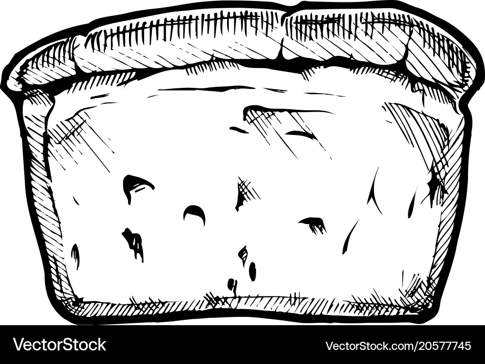 Long loaf Royalty Free Vector Image - VectorStock
