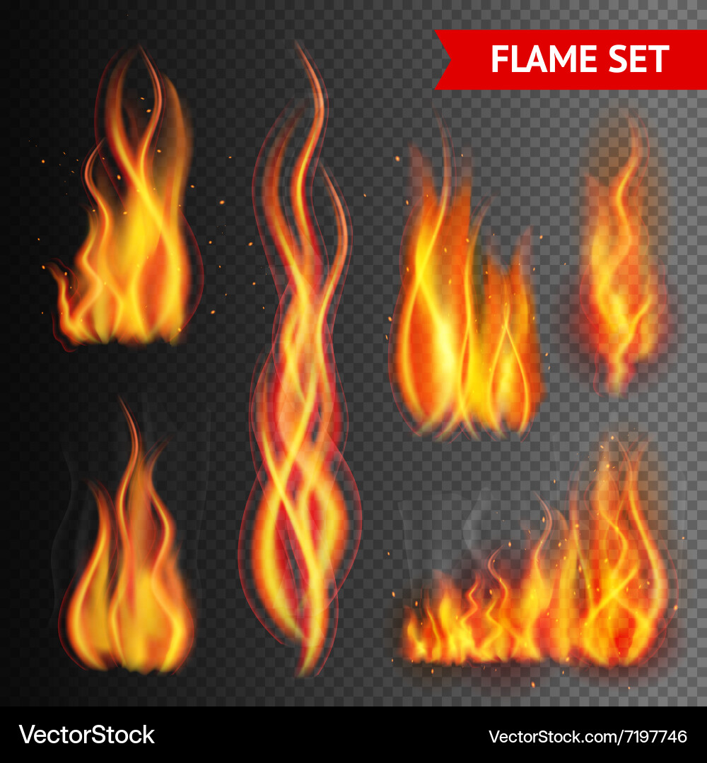 Fire on transparent background Royalty Free Vector Image