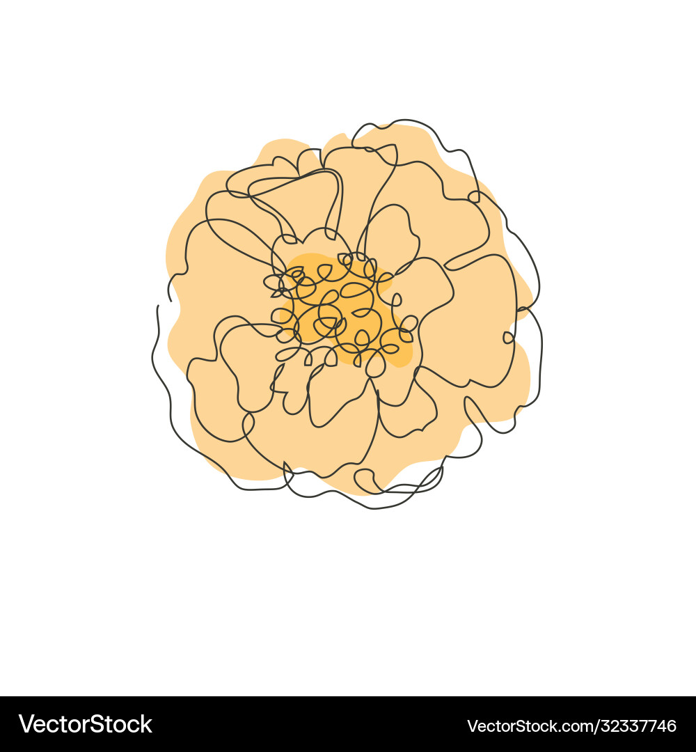 Marigold Line Art Flower Royalty Free Vector Image