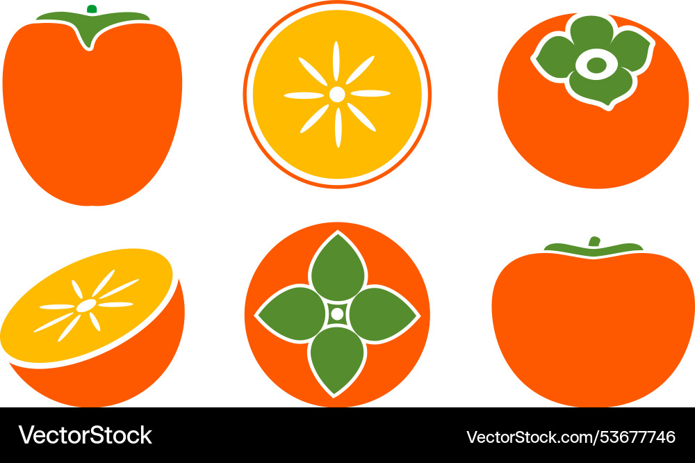 Persimmon Royalty Free Vector Image - VectorStock