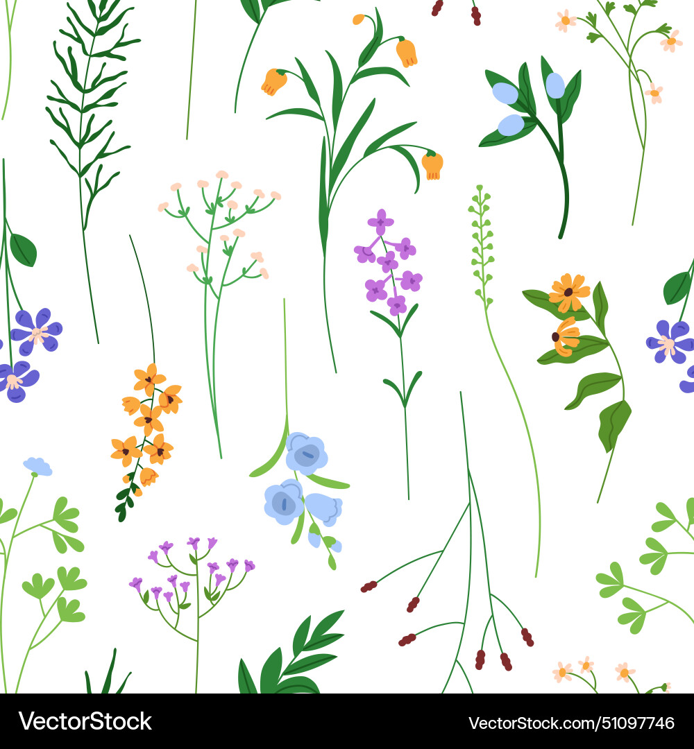 Seamless floral pattern with wildflowers Vector Image
