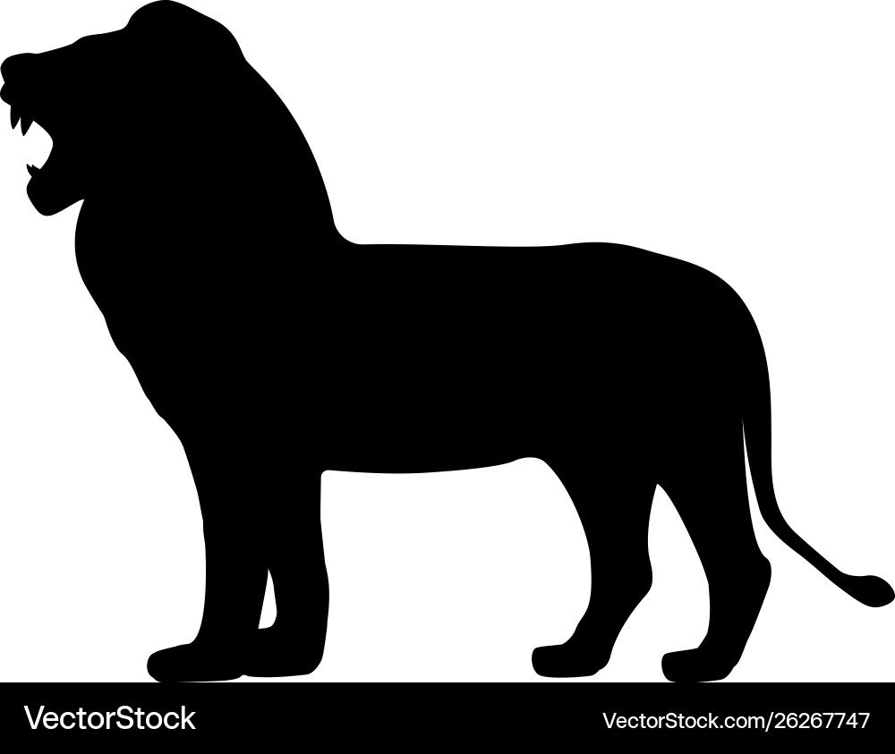 Black silhouette growling lion Royalty Free Vector Image