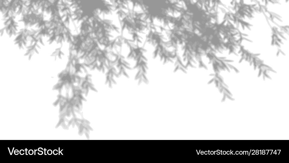 Shade exotic plants on white wall Royalty Free Vector Image