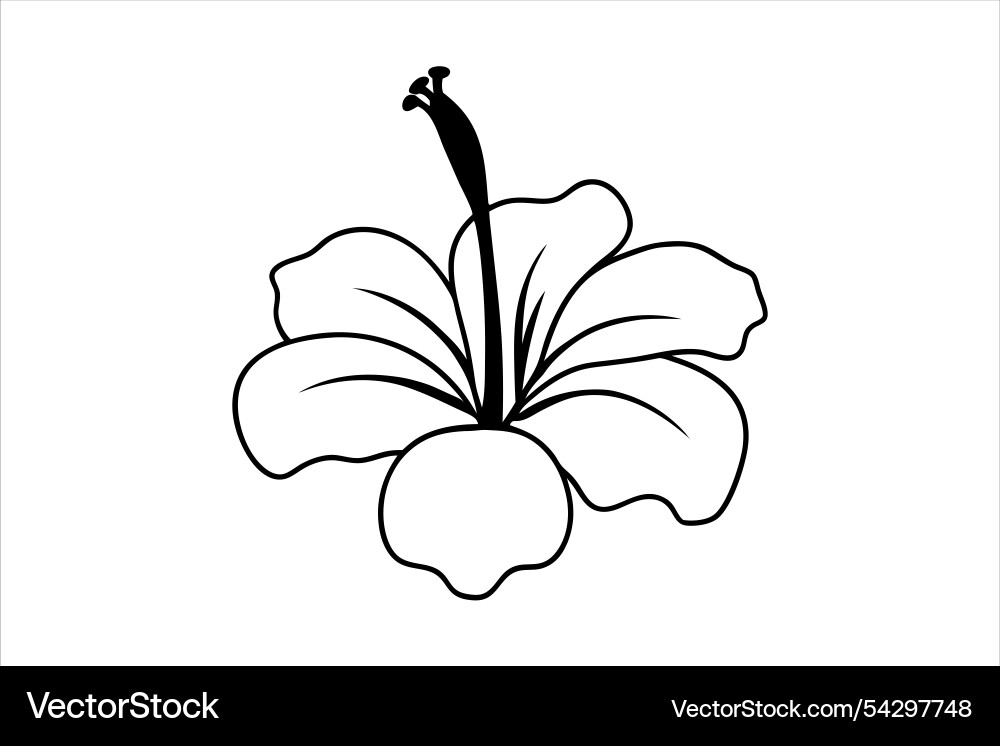 Flower hibiscus line art simple Royalty Free Vector Image