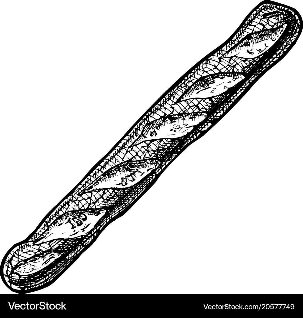 Baguette Royalty Free Vector Image - VectorStock