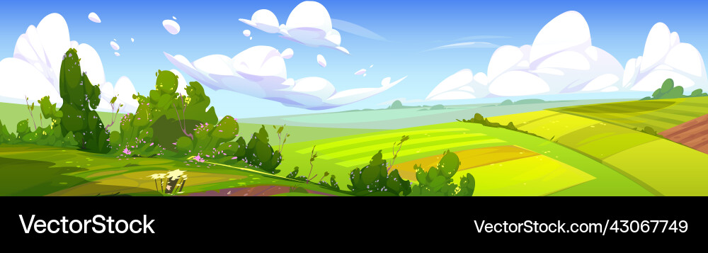 Rural landscape with green agriculture fields Vector Image