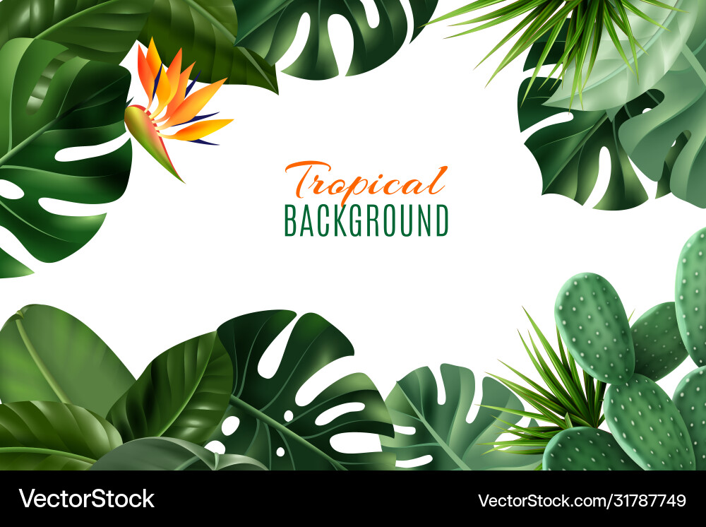 Tropical Leaf Frame Background Royalty Free Vector Image