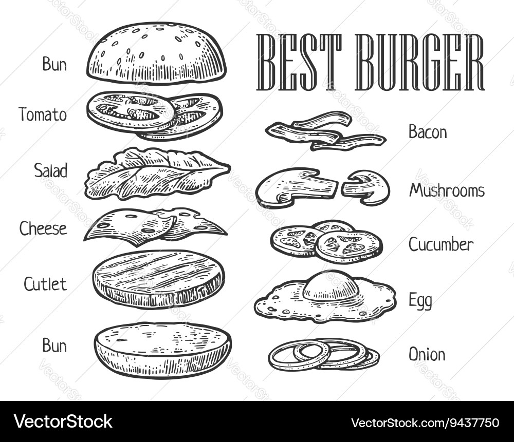 Burger ingredients vintage engraving Royalty Free Vector