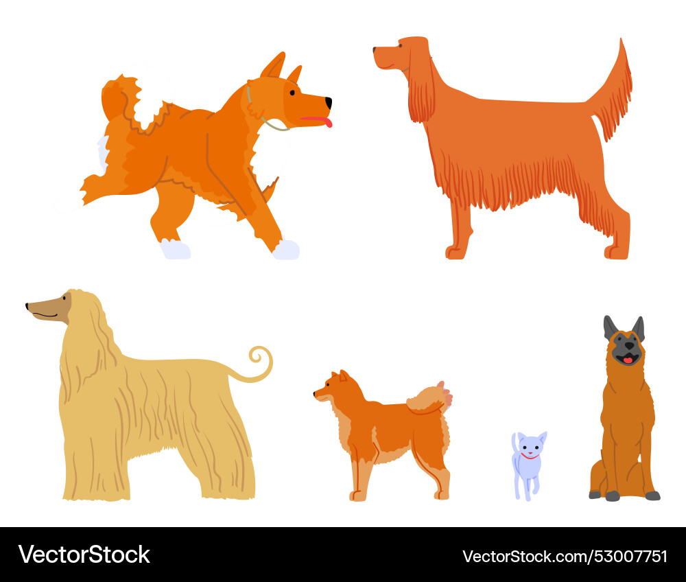 Various Dog Breeds Each In Different Pose Vector Image