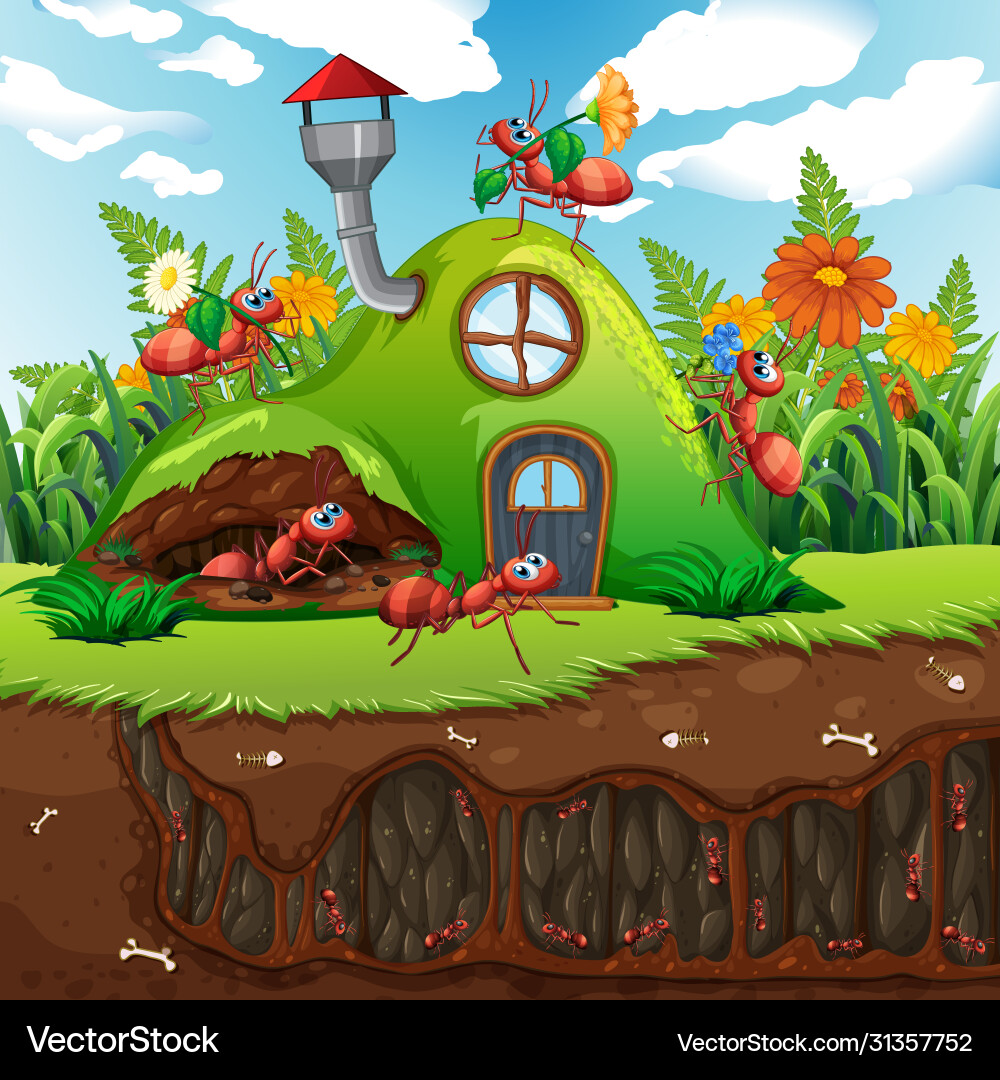 Ant Home Cartoon Vector Images (over 660)