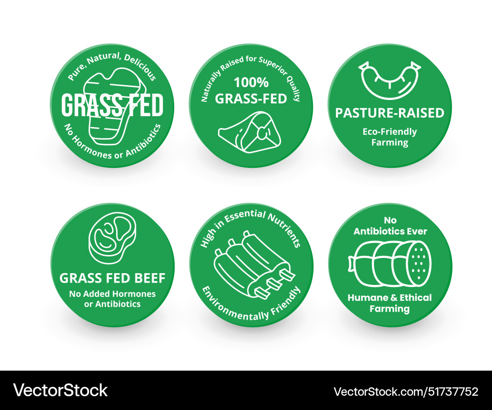 Grass fed beef green circle badge with line Vector Image