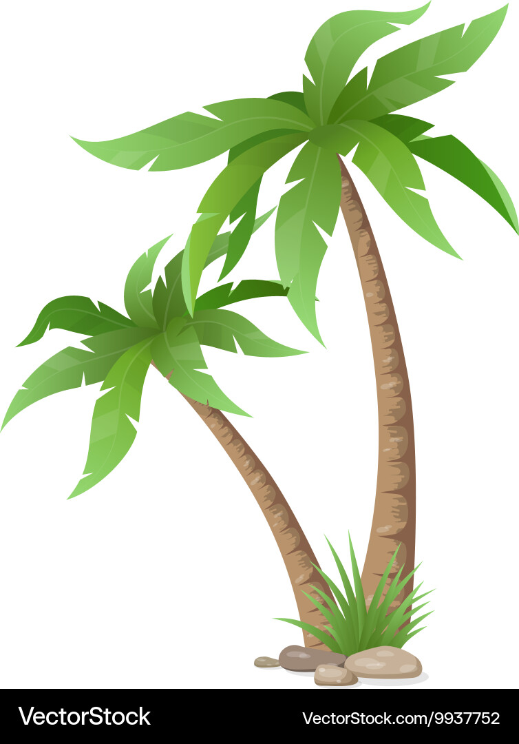 Two palms tree isolated Royalty Free Vector Image
