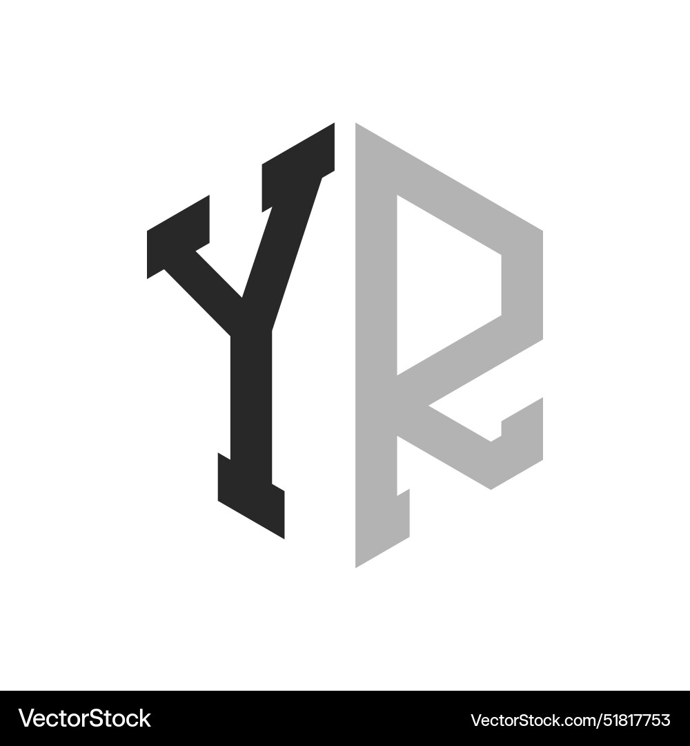 Modern unique hexagon letter yr logo design Vector Image