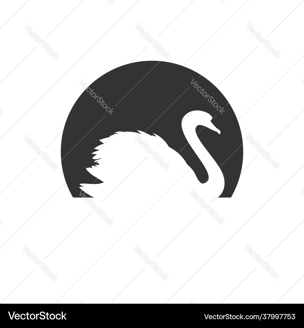 Swan emblem Royalty Free Vector Image - VectorStock