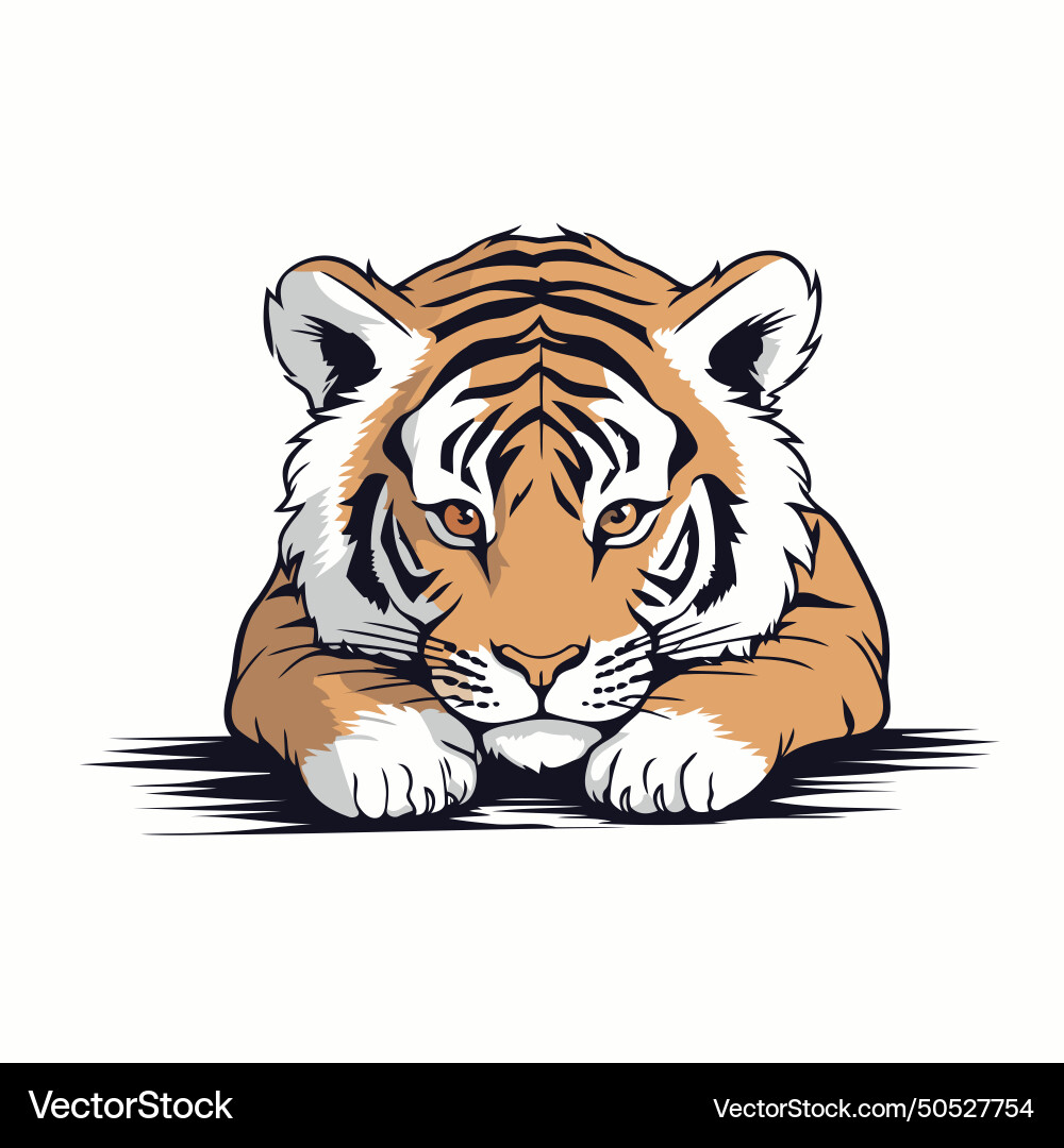 A tiger on white background Royalty Free Vector Image