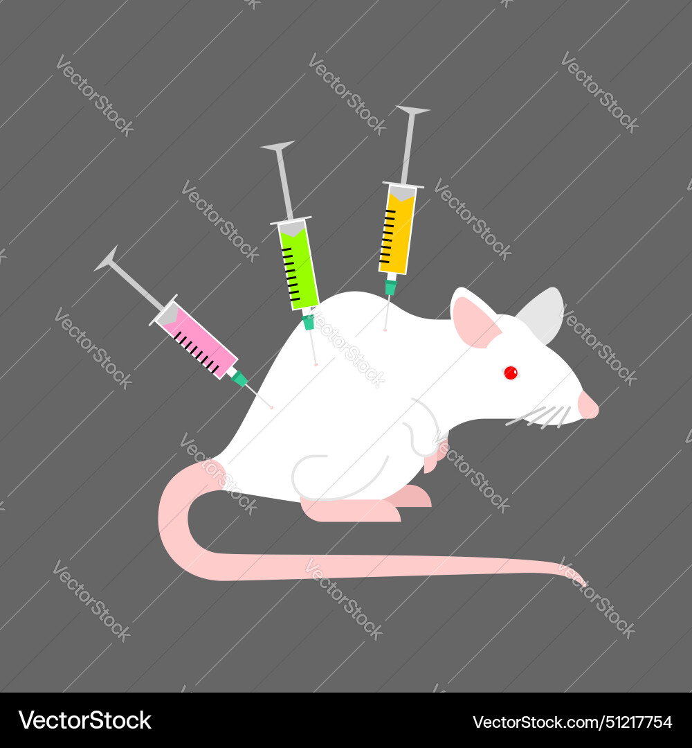 White laboratory mouse and syringe Royalty Free Vector Image