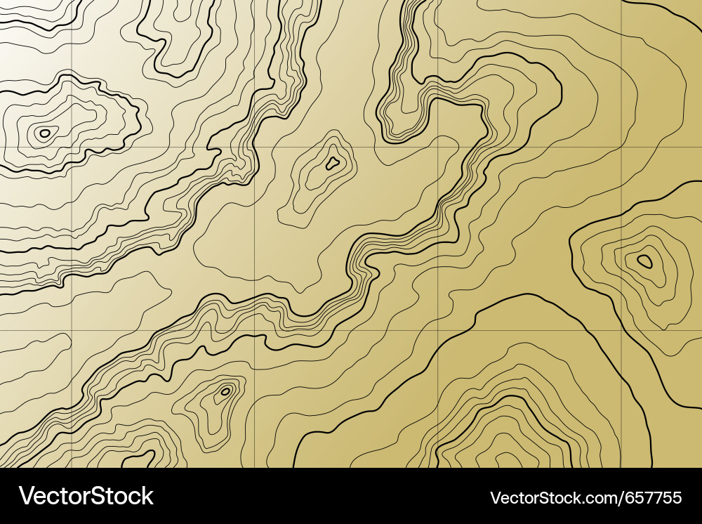 Abstract topographic map in brown colors Vector Image