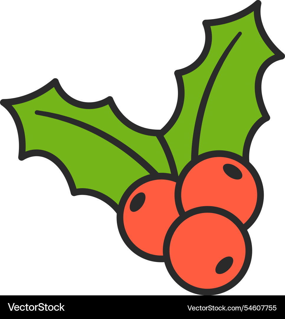 Holly mistletoe berry plant decoration Royalty Free Vector