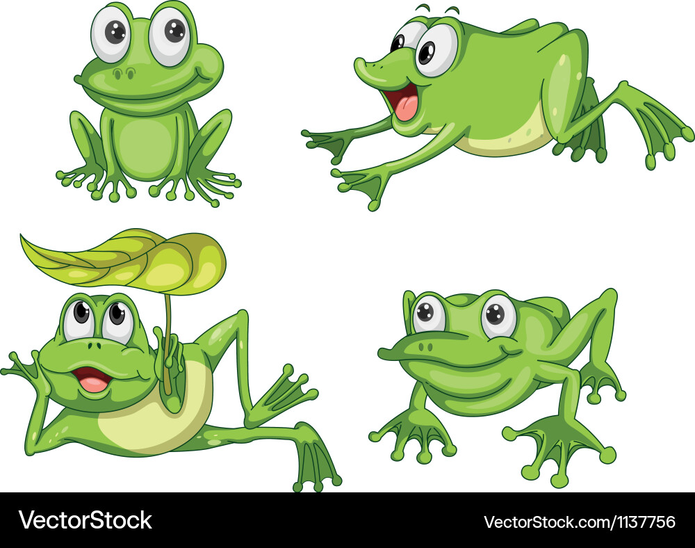 Green frogs Royalty Free Vector Image - VectorStock