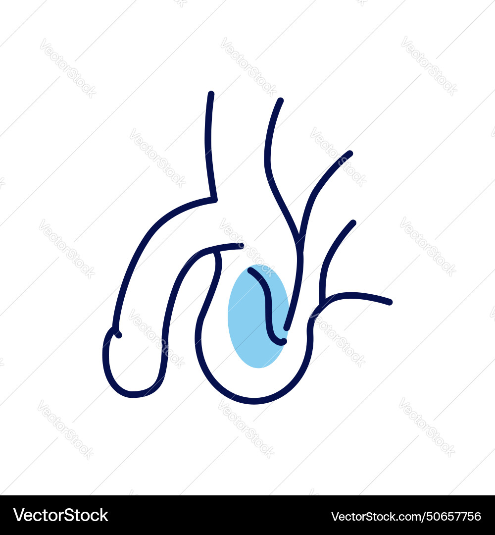 Male reproductive system line icons Royalty Free Vector