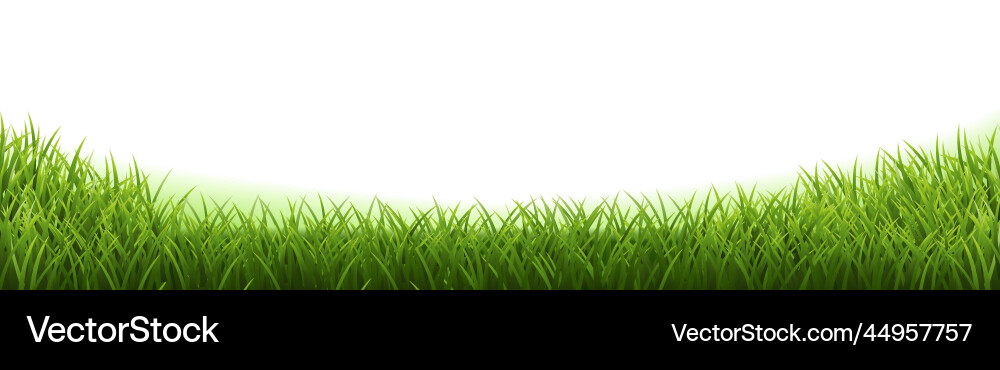 Green grass frame isolated white background Vector Image
