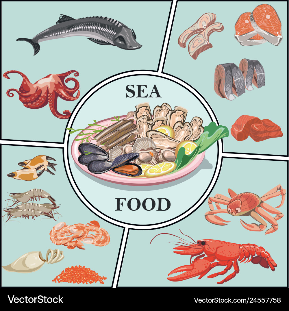 Flat sea food concept Royalty Free Vector Image