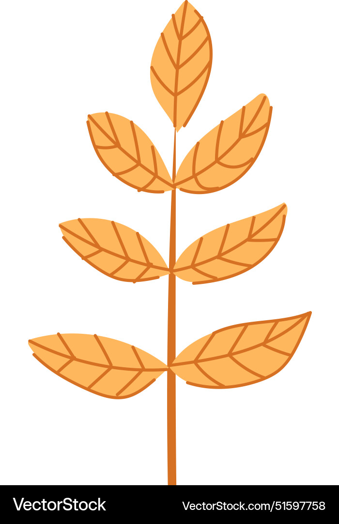Texture gold leaves cartoon Royalty Free Vector Image