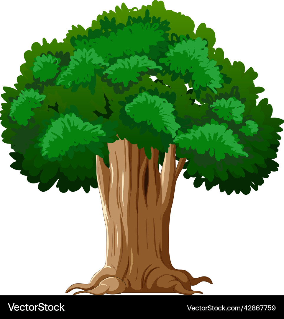 Big tree isolated cartoon Royalty Free Vector Image