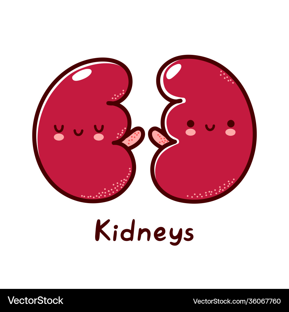 Cute Kidneys Character Illustration Royalty Free Vector