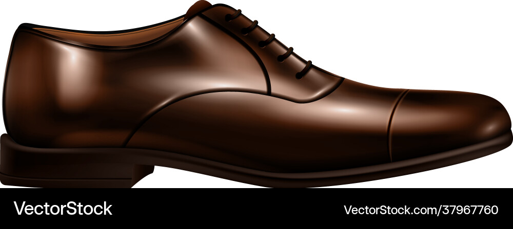 Male shoe Royalty Free Vector Image - VectorStock