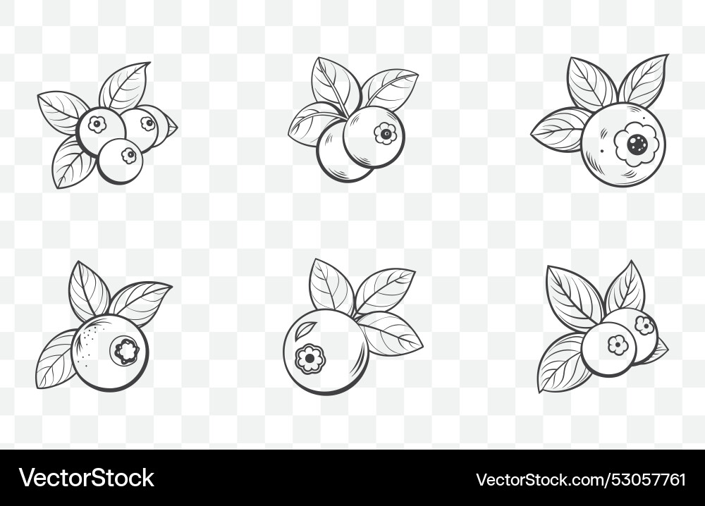 Print comprehensive blueberry line art set Vector Image