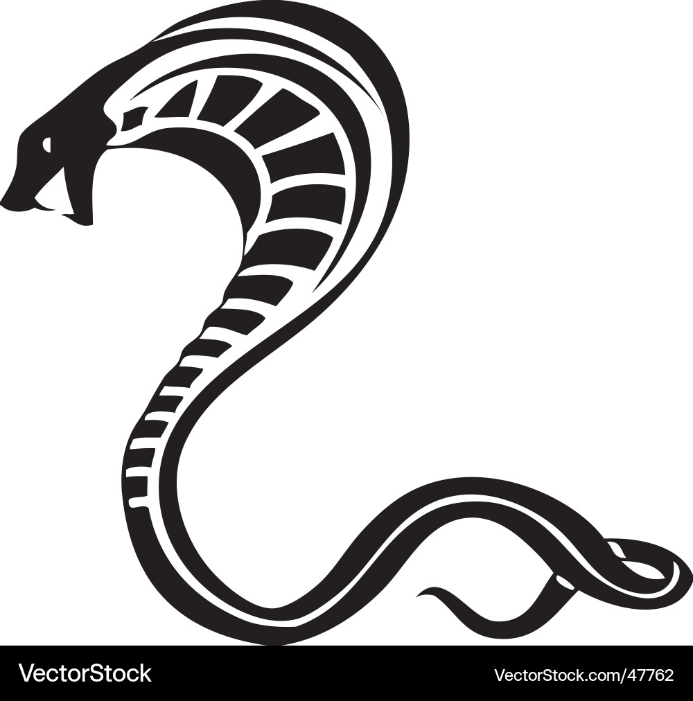 Cobra Royalty Free Vector Image - VectorStock