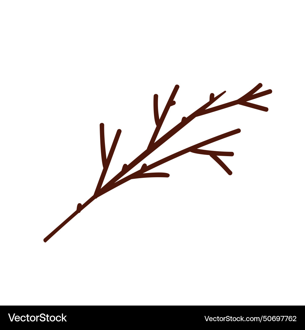 Doodle single twig branch element isolated dry Vector Image