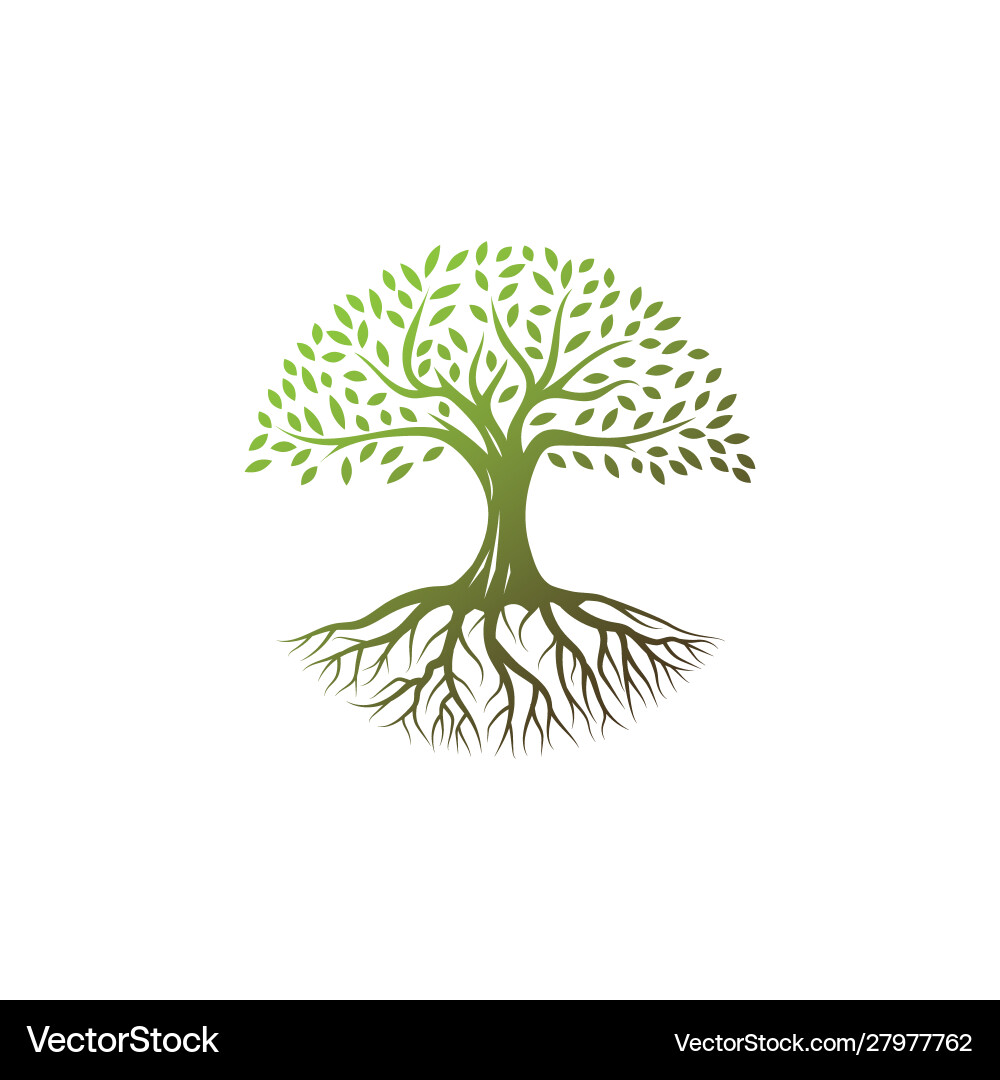 Tree logo Royalty Free Vector Image - VectorStock