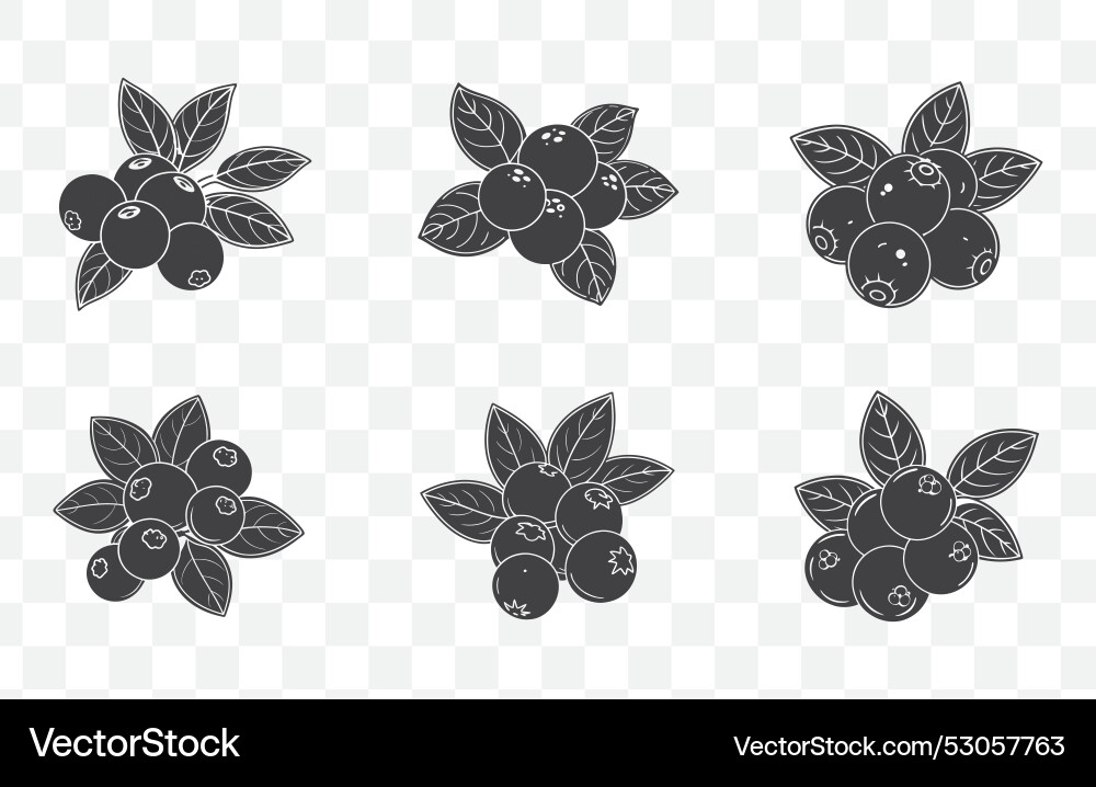 Print comprehensive blueberry line art set Vector Image